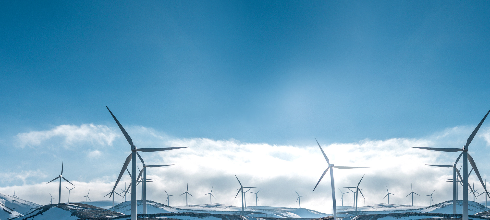 Our Green Energy Commitment - YGP